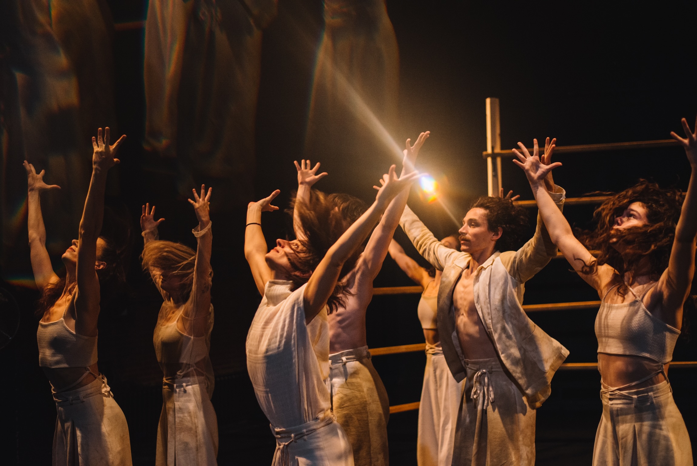 Animal Farm review, BITEF Teatar, Belgrade